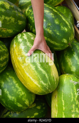 Watermelons in German supermarket and fruits (in September Stock Photo ...