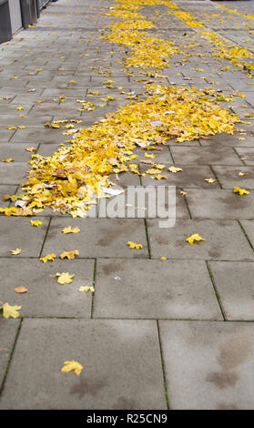 concrete road texture with fallen leaves Stock Photo - Alamy