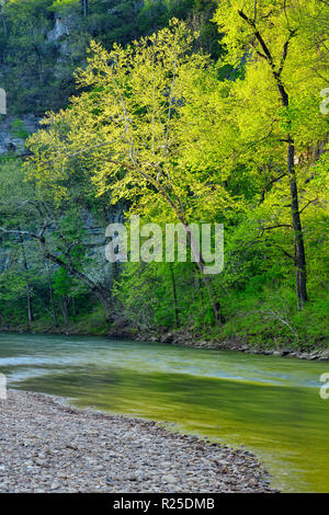 Spring foliage reflected in the Buffalo River at Pruitt Landing ...