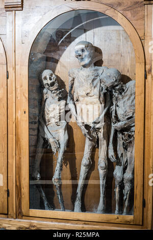 Mummy in the church, Urbania, Italy, Europe Stock Photo - Alamy