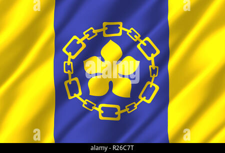 Hamilton 3D waving flag illustration. Texture can be used as background ...