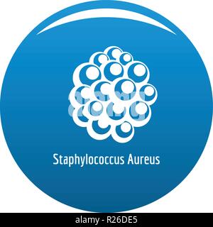 Staphylococcus aureus icon. Simple illustration of staphylococcus ...