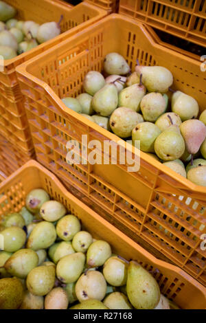 Rocha pear packing and production factory. Portugal. Europe Stock Photo ...