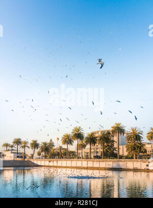 Flock of seagull birds fly over the sea Stock Photo - Alamy