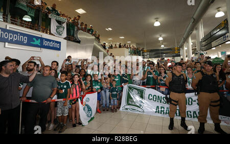 Londrina, Brazil. 17th Nov, 2018. The player Guerra, from SE Palmeiras ...