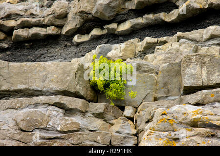 Layers of rock strata in the unstable cliff face at Nash Point, South ...