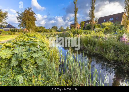 The distribution of vegetation in Stock Photo - Alamy