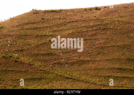 Bishop Middleham, County Durham Stock Photo - Alamy