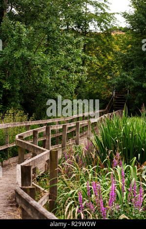 Bishop Middleham wildlife garden, County Durham Stock Photo - Alamy