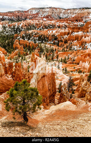 Effects of erosion in Bryce Canyon National Park, Utah, United States ...