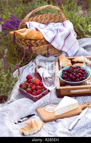 Summer - picnic in the meadow provence. Cheese brie, baguette ...