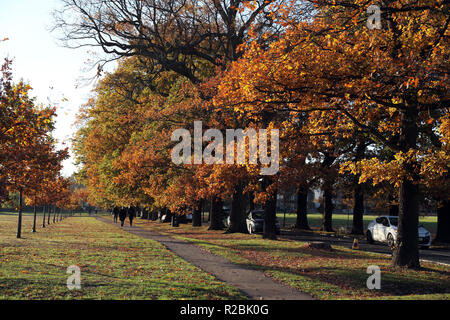 Pic shows: Theydon Bois general views pic by Gavin Rodgers/Pixel8000 ...