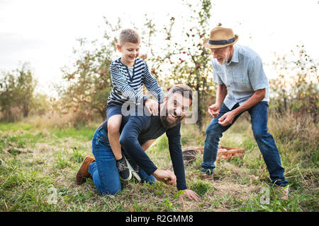 A small boy with father and grandfather sitting in apple orchard in ...