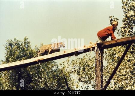 Roar Year : 1981 USA Director : Noel Marshall Noel Marshall, Kyalo ...