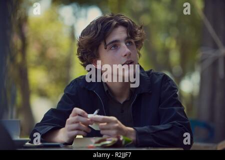 LADY BIRD, Timothee Chalamet, 2017. ©A24/courtesy Everett Collection ...