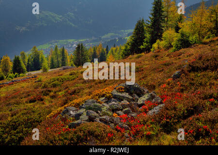 Austria, Tyrol, Upper Inn Valley, Fiss Stock Photo - Alamy