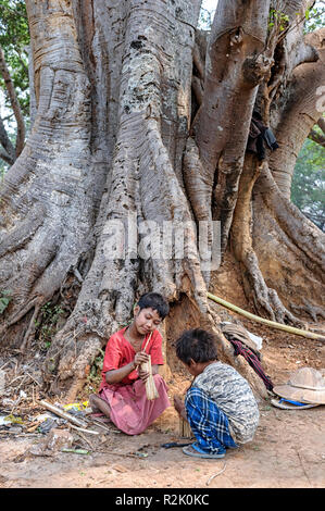 Children playing in a banyan tree Stock Photo - Alamy