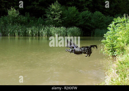 willys jump 1 Stock Photo - Alamy