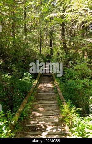 Olympic National Park, Loop Trail, marking Stock Photo - Alamy