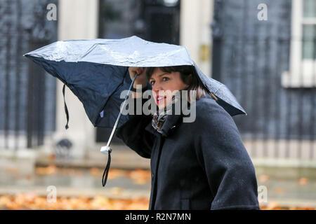 Beth Rigby, Political Editor, Sky News, Downing Street, London Stock ...
