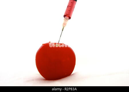 Injection into tomato, genetic engineering, genetic manipulation Stock ...