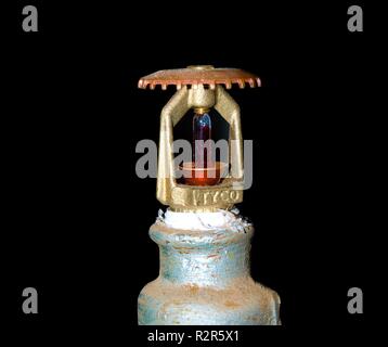 copper water sprinkler Stock Photo - Alamy