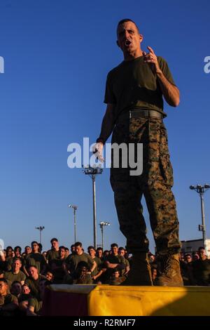 U.S. Marine Corps Col. Mark D. Bortnem, commanding officer, Marine ...