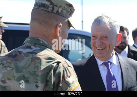 U.S. Army Lt. Gen. Donna W. Martin, the first black woman to serve as ...