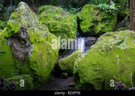 Colombia, wild Darien jungle of the Caribbean sea near Capurgana resort ...