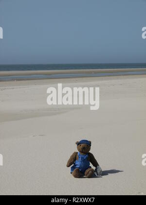 beach, vacation, lonely, teddy bear, beaches, seaside, vacations ...