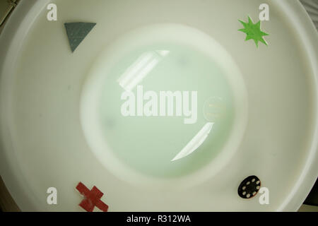 A morris water maze as seen from above, the morris water maze is a ...