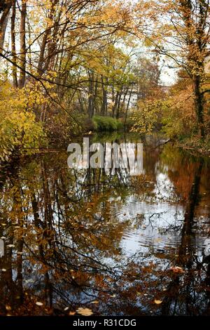 The Colours Of The Autumn Fall 2018 Germany Stock Photo - Alamy