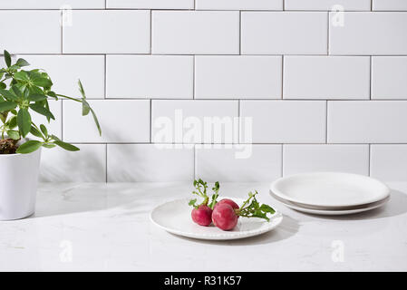 Fresh vegetables and utensils for cooking classes on white table. spice ...