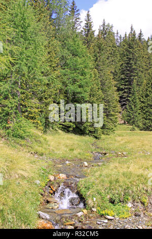 Fresh mountain waters. Drinking clean spring water Stock Photo - Alamy