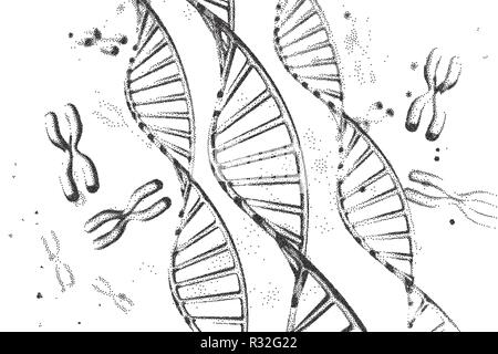 Genetic sequencing concept icon Stock Vector Image & Art - Alamy