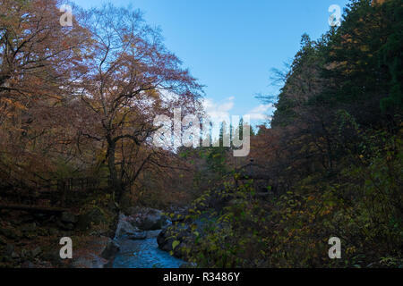 A Japanese pagoda along the Daiya river in Nikko, Japan during peak ...