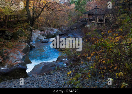 A Japanese pagoda along the Daiya river in Nikko, Japan during peak ...