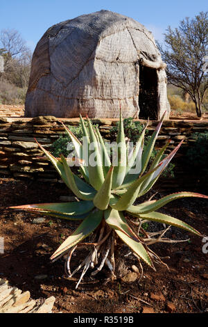 A typical 'skerm' or shelter built by Bushmen (San) in the Karoo Desert ...