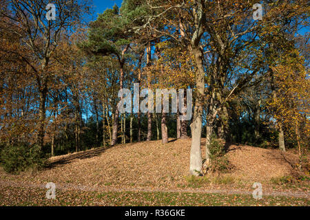 Petersfield Heath Bronze Age barrow cemetery, Hampshire, UK Stock Photo ...