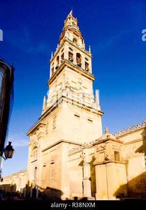 Mosque–Cathedral of Córdoba Spain Stock Photo - Alamy