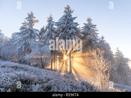 Schmitten, Germany. 22nd Nov, 2018. The setting sun shines through ...