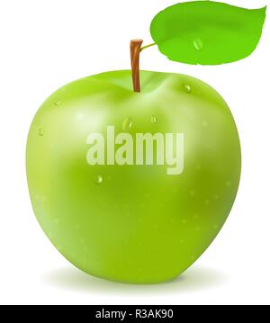 delicious tasty sweet fruit apple cartoon vector illustration graphic ...