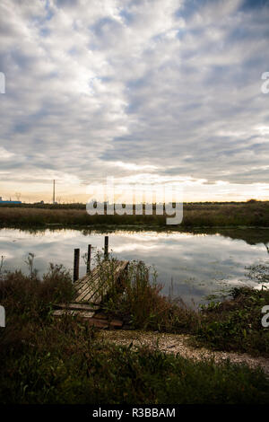 500px Photo ID: 75217861 - swamp in Ravenna - Italy Stock Photo - Alamy