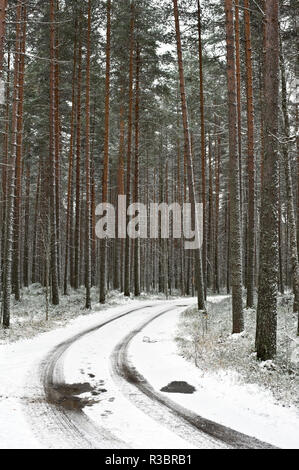 A dirt road running through a snow covered forest Stock Photo - Alamy