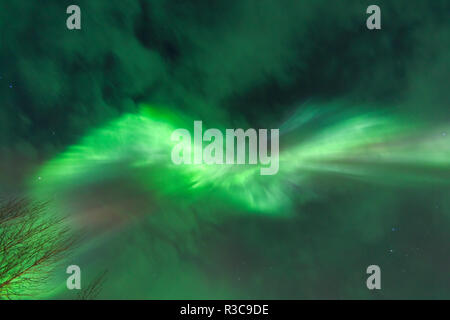 Viewing straight up at Corona, explosion of light, Aurora borealis ...