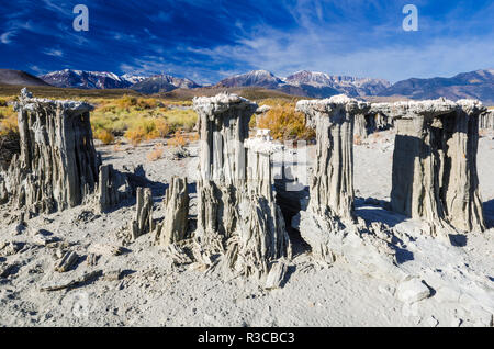 Sand tufa formations on the south shore of Mono Lake, Mono Basin ...