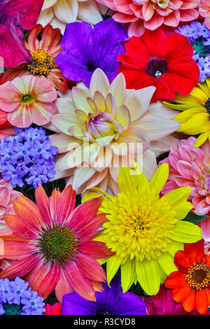 Grouping of colorful flower pattern Stock Photo - Alamy