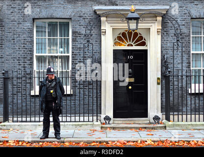 Police Officer, policeman at Downing Street, London, UK Stock Photo - Alamy