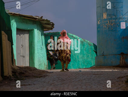 Harari women walking in the street wearing colourful clothing. Harar ...