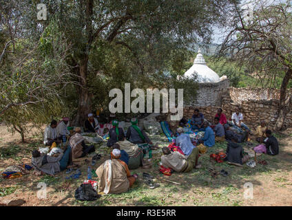 Harari men chewing khat during a sufi celebration, Harari Region, Harar ...